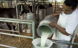 LA PRENSA | Diario - Empresas lácteas aceptaron propuesta del gobierno